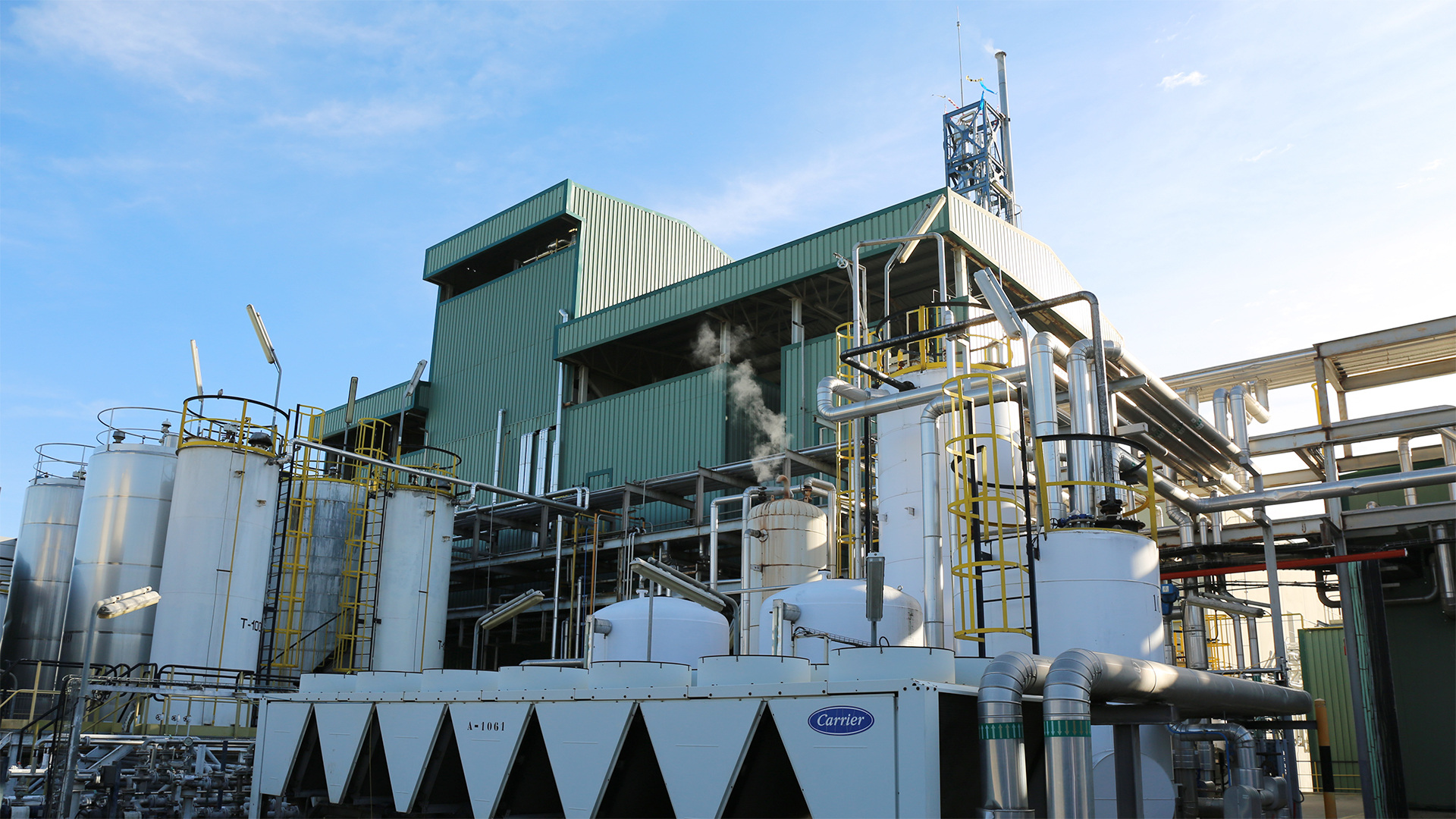 Explore 20 years of omega-3 innovation with Solutex